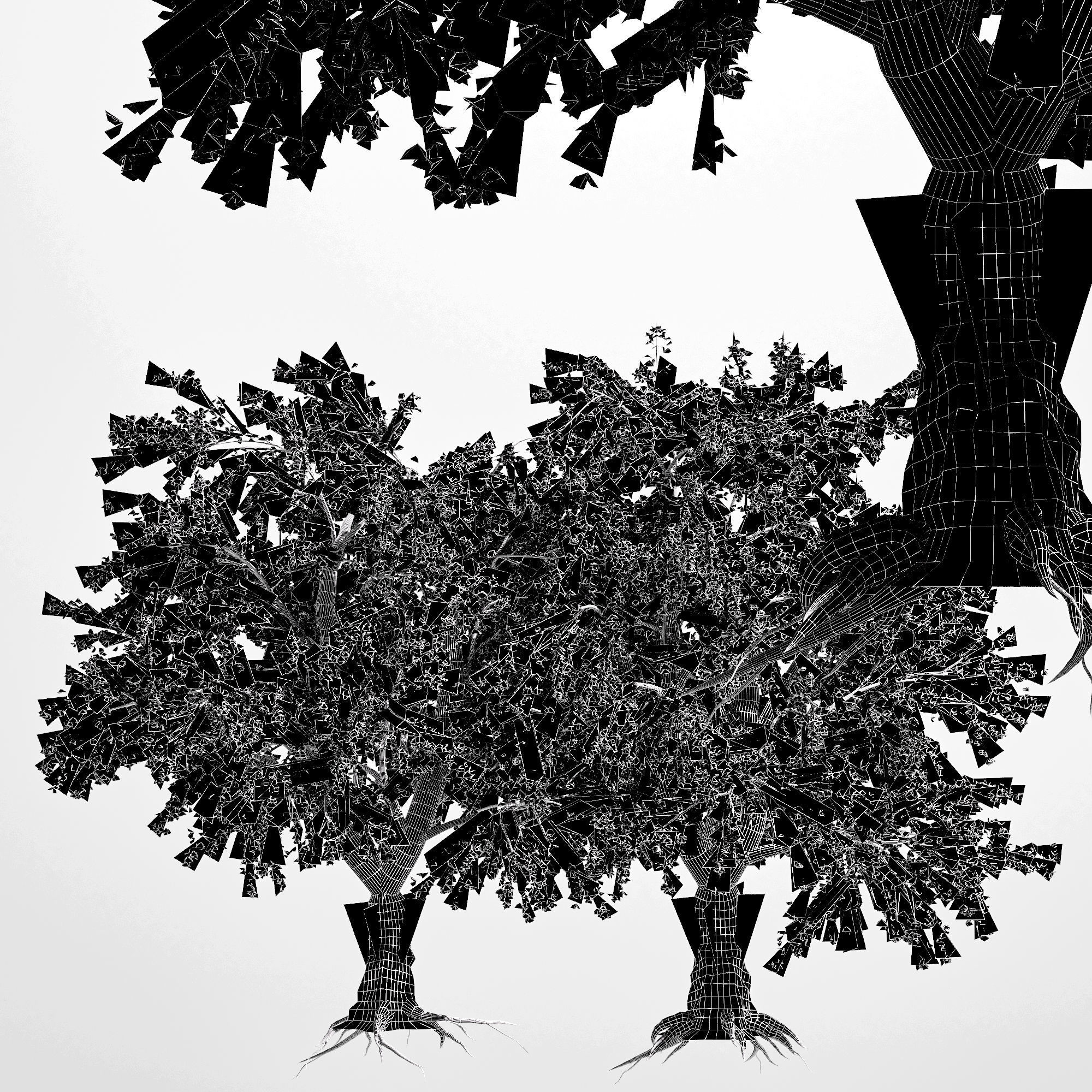 4 diffrent tree Katsura free 3D model | CGTrader