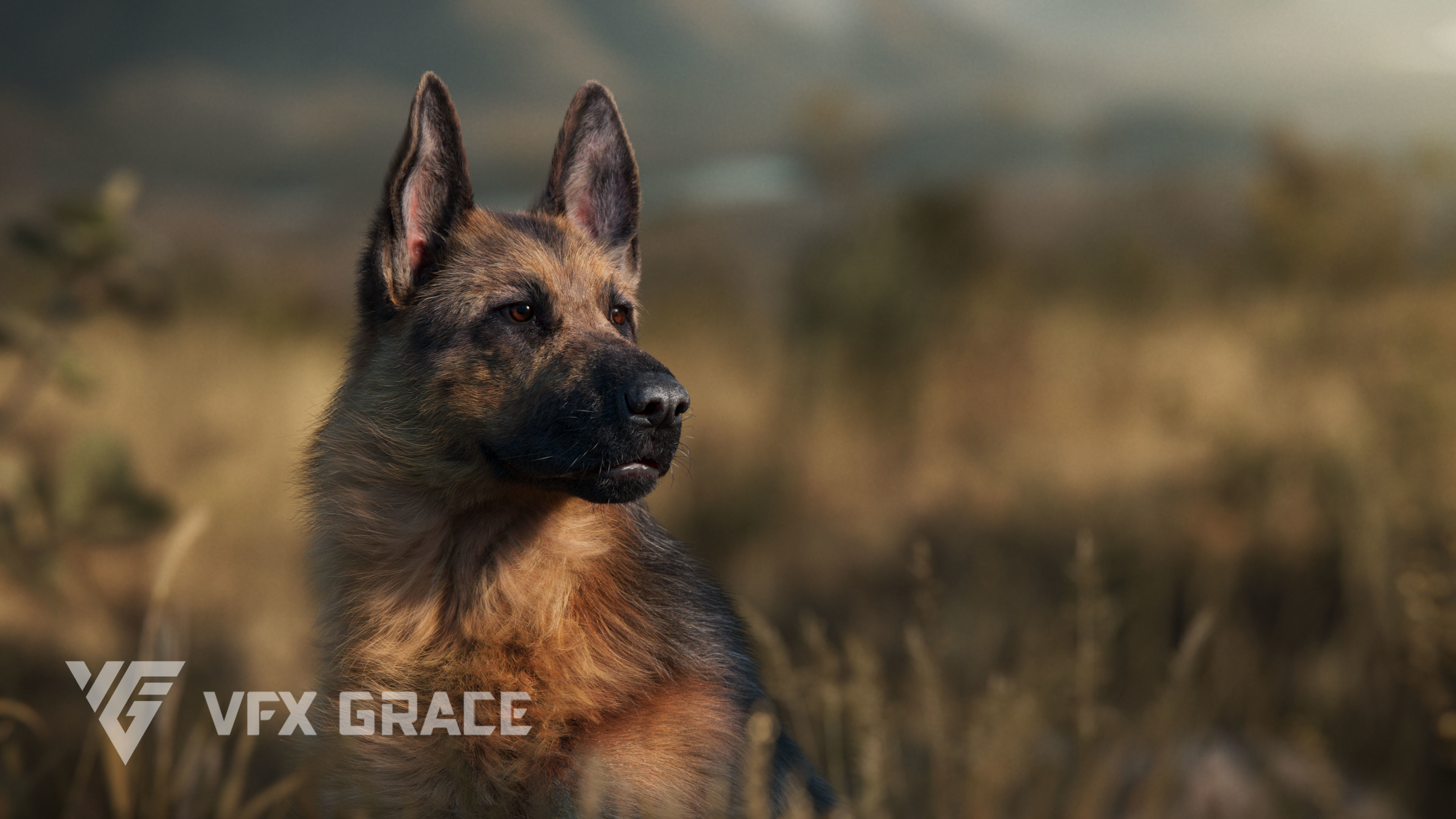 German Shepherd Animated 3D model animated rigged | CGTrader