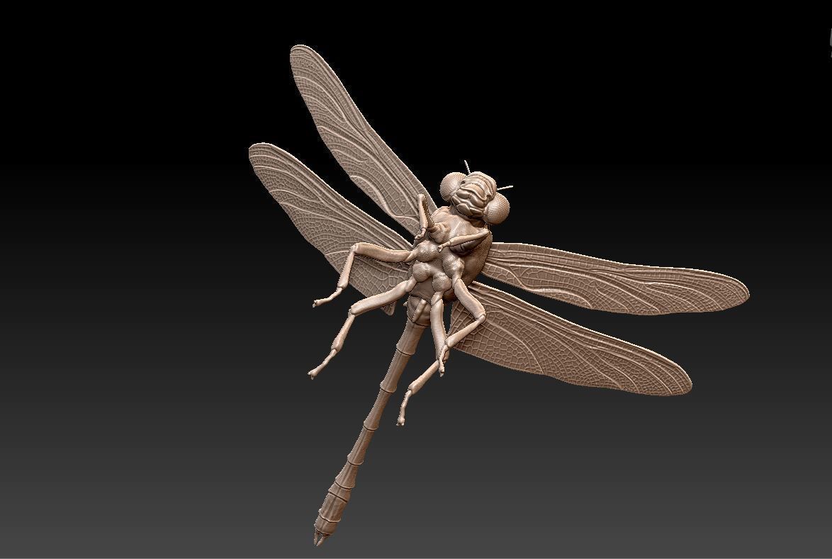 dragonfly in flight 3D model 3D printable | CGTrader