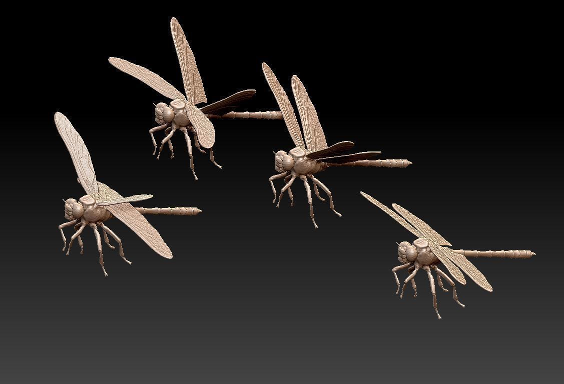 dragonfly in flight 3D model 3D printable | CGTrader