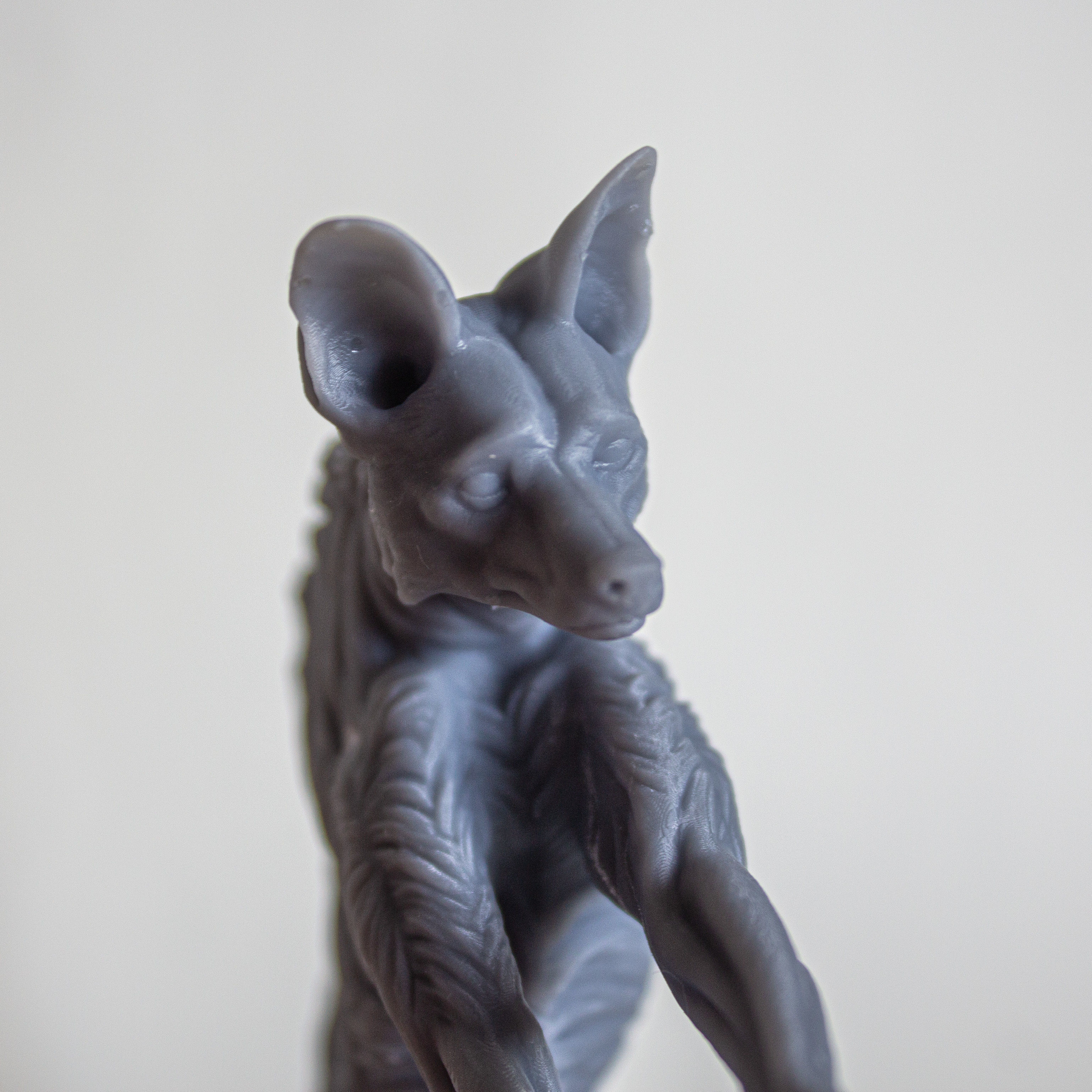 Maned Wolf for 3D printing 3D model 3D printable | CGTrader