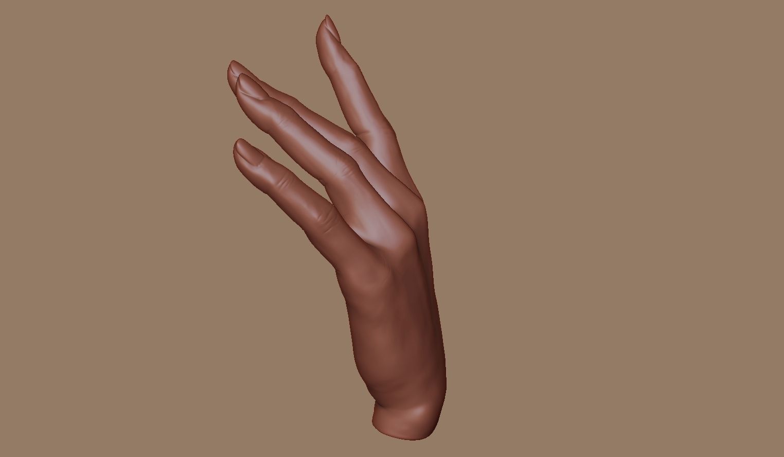 Female hand anatomy 3D model | CGTrader