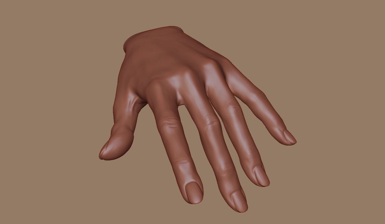 Female hand anatomy 3D model | CGTrader
