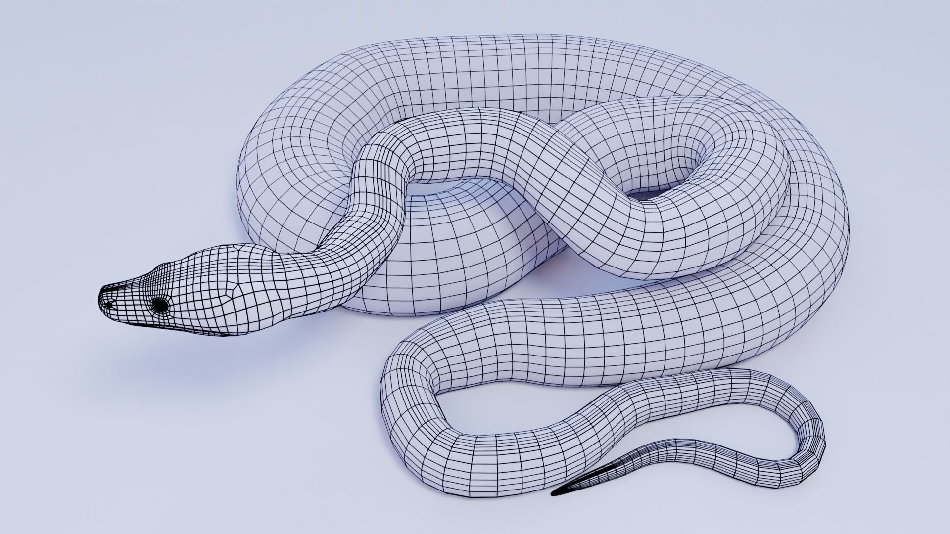 3D model Reticulated Python - Rigged VR / AR / low-poly | CGTrader