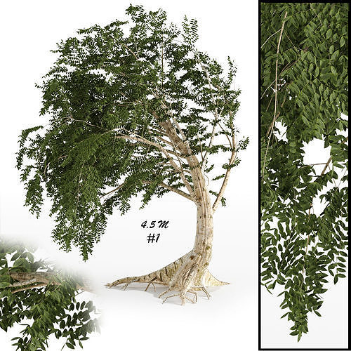 fantesy tree 3D model | CGTrader