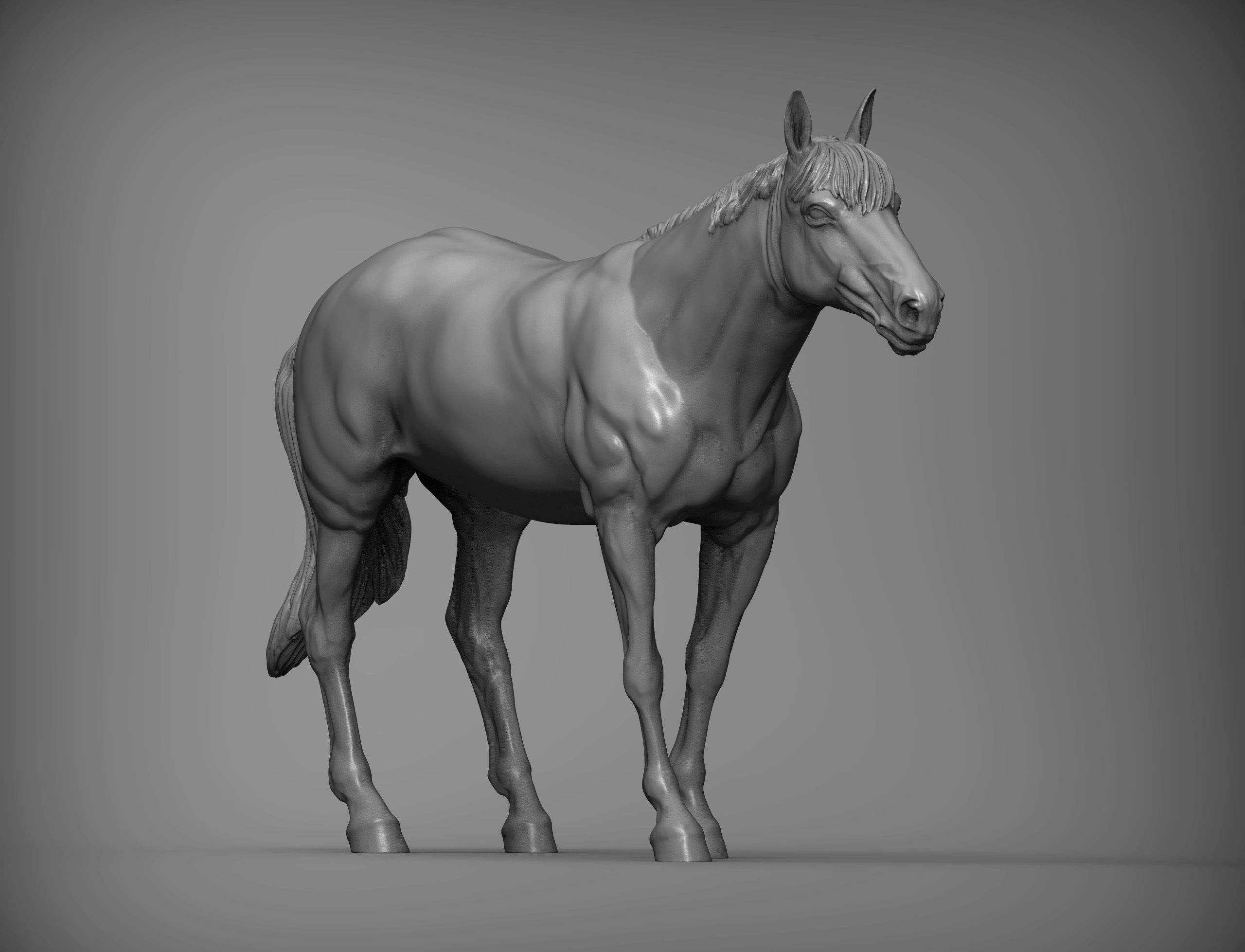 Horse 3D print model 3D model 3D printable | CGTrader