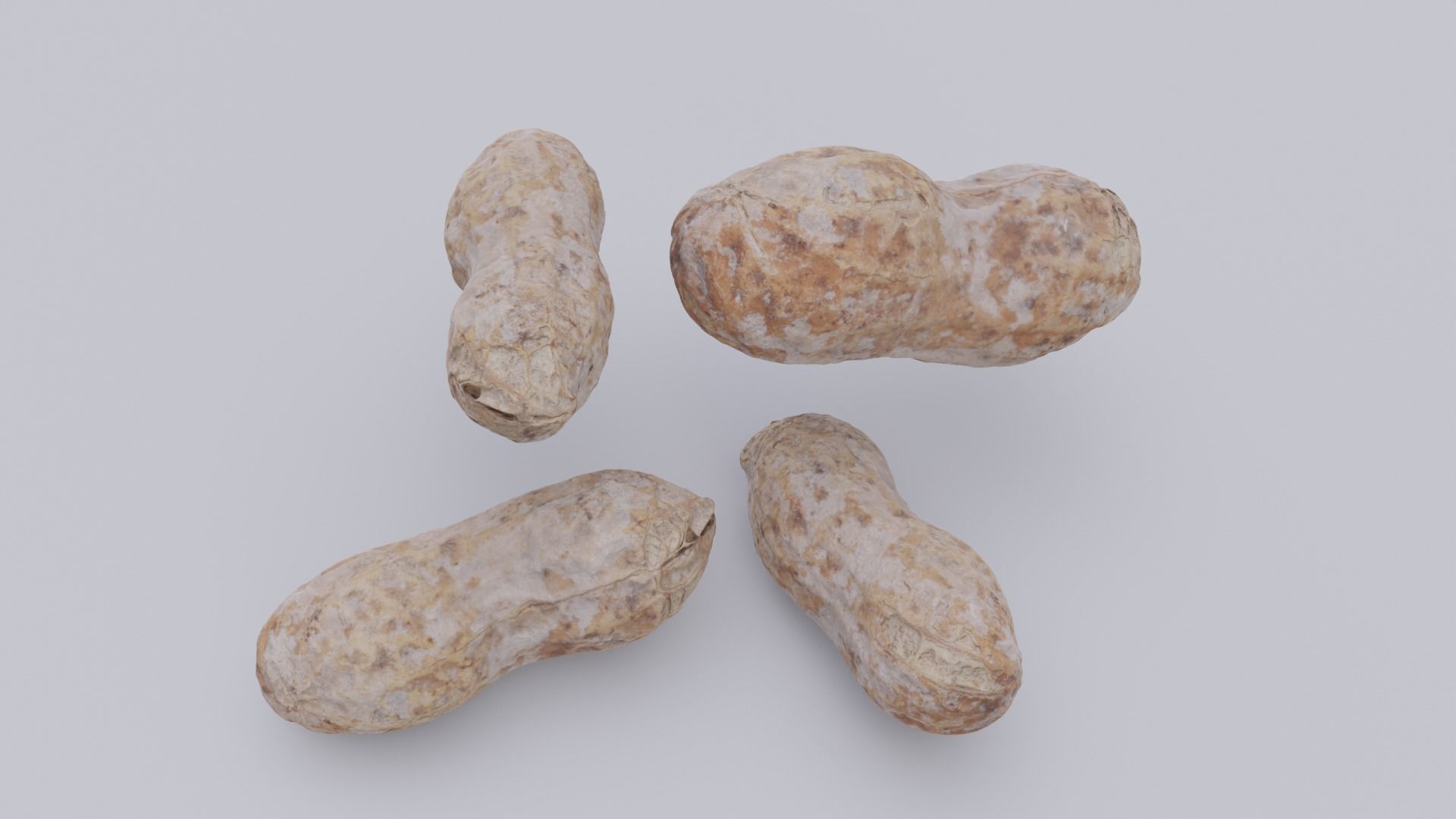 Photoscanned Realistic Salted Peanut 3D model | CGTrader