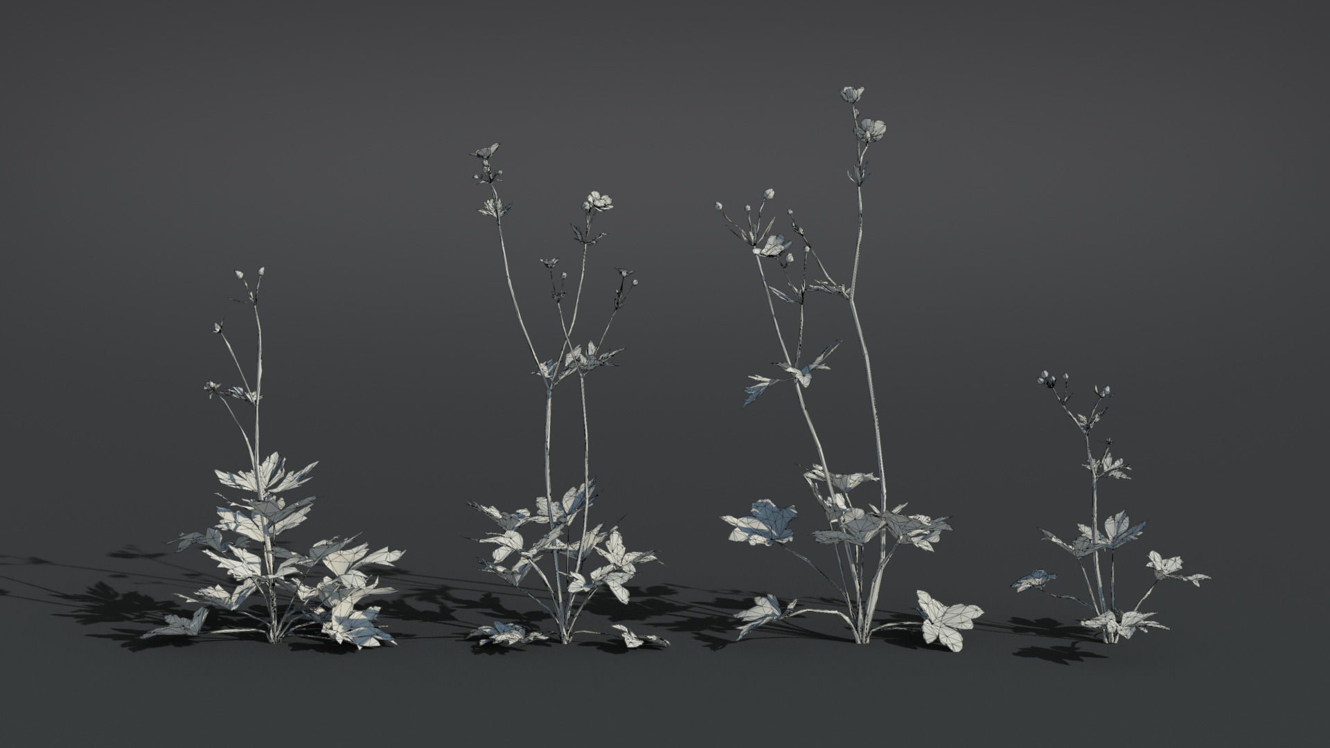 Buttercup Flower VFX Grace 3D model | CGTrader