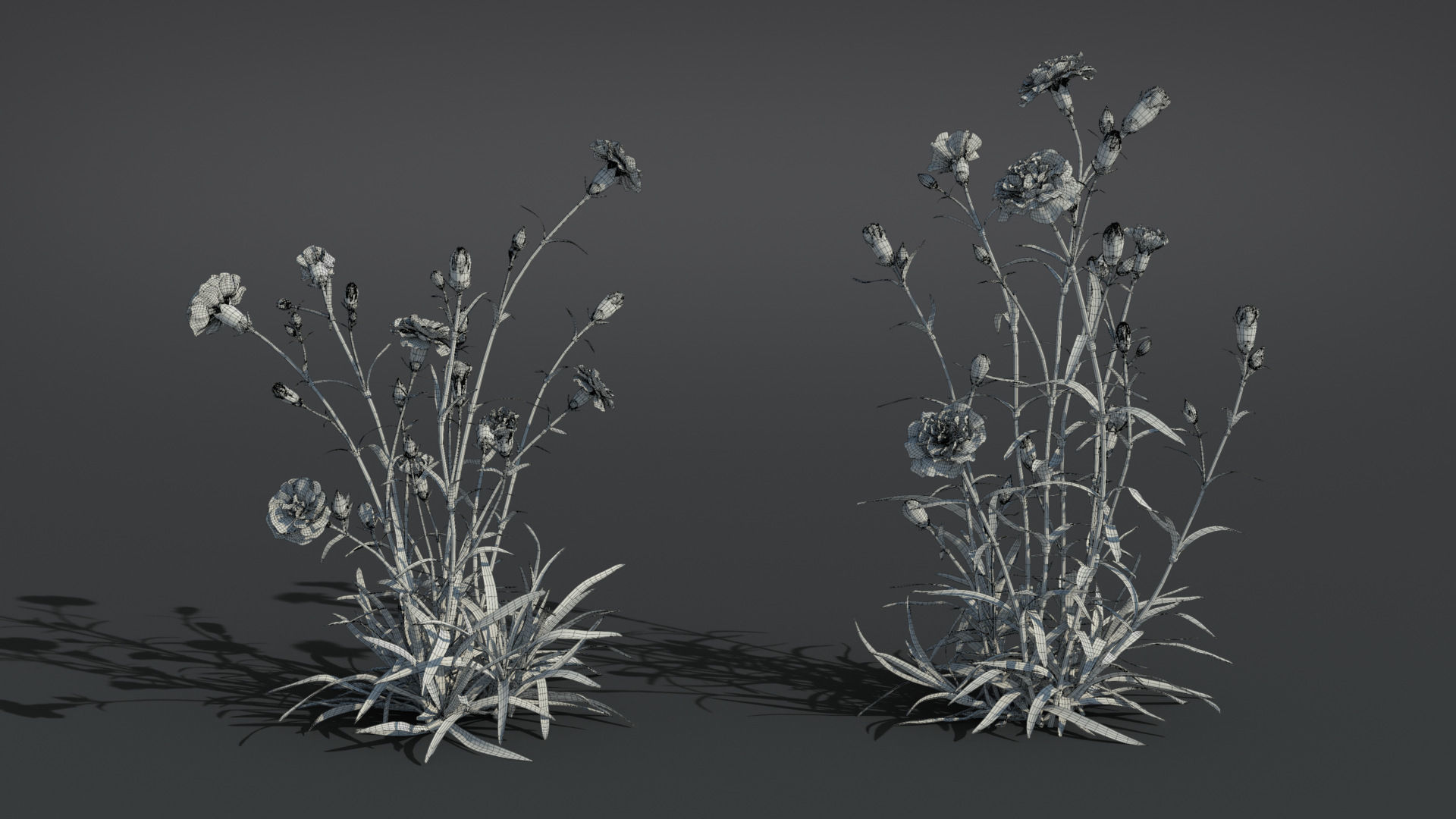 Carnation VFX Grace 3D model | CGTrader