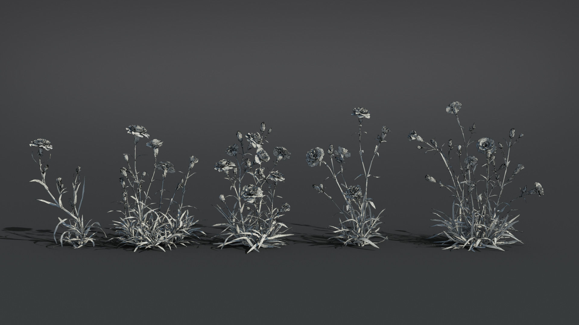 Carnation VFX Grace 3D model | CGTrader