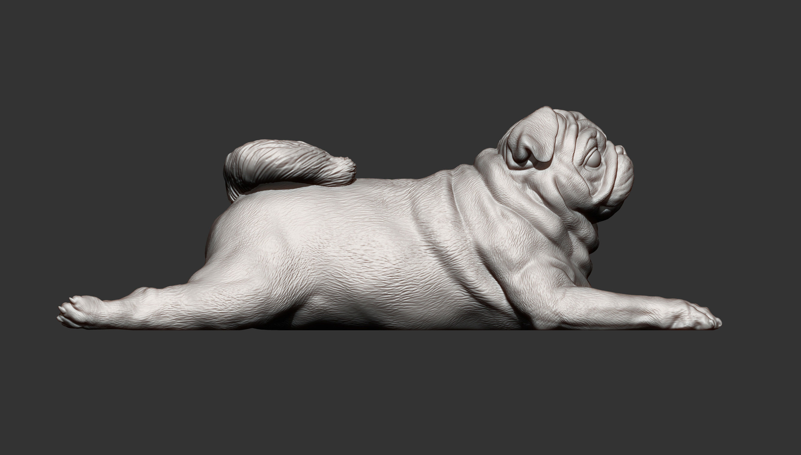 Pug for 3D printing 3D model 3D printable | CGTrader