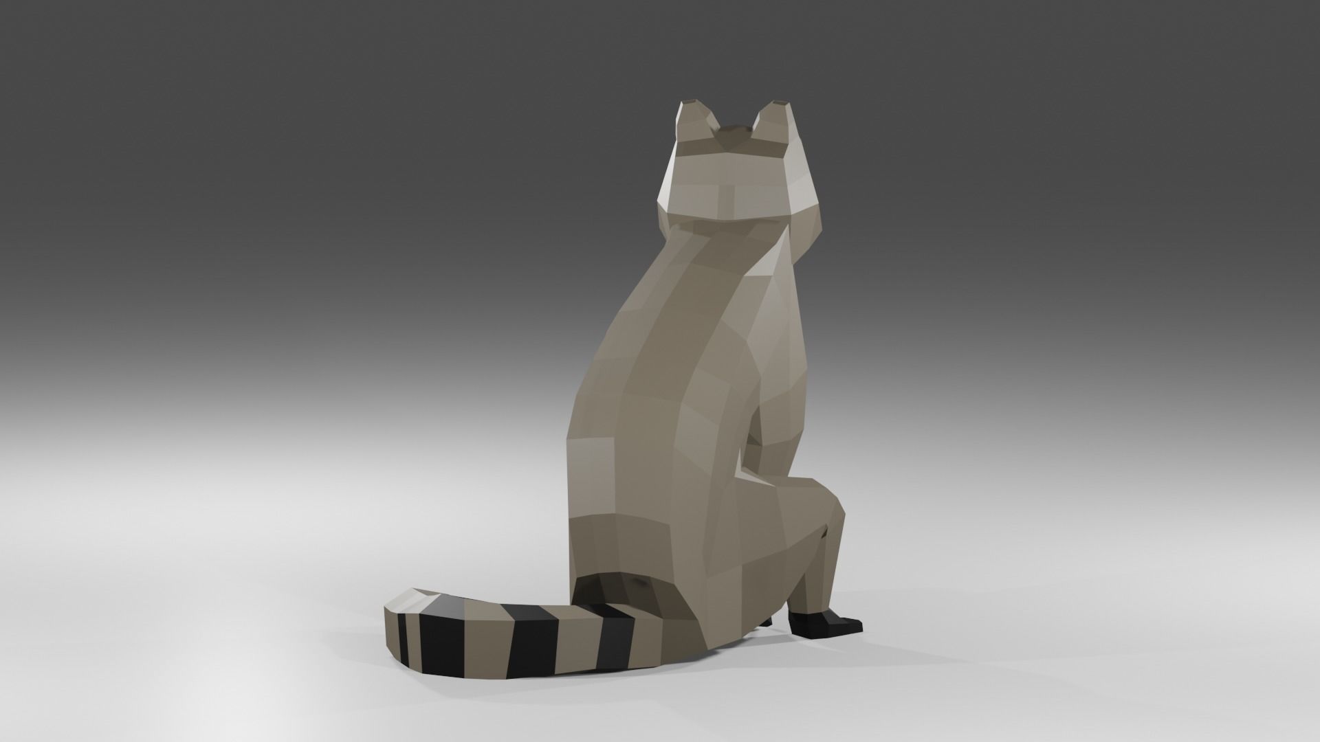 Raccon Low Poly Rigged free VR / AR / low-poly 3D model rigged | CGTrader
