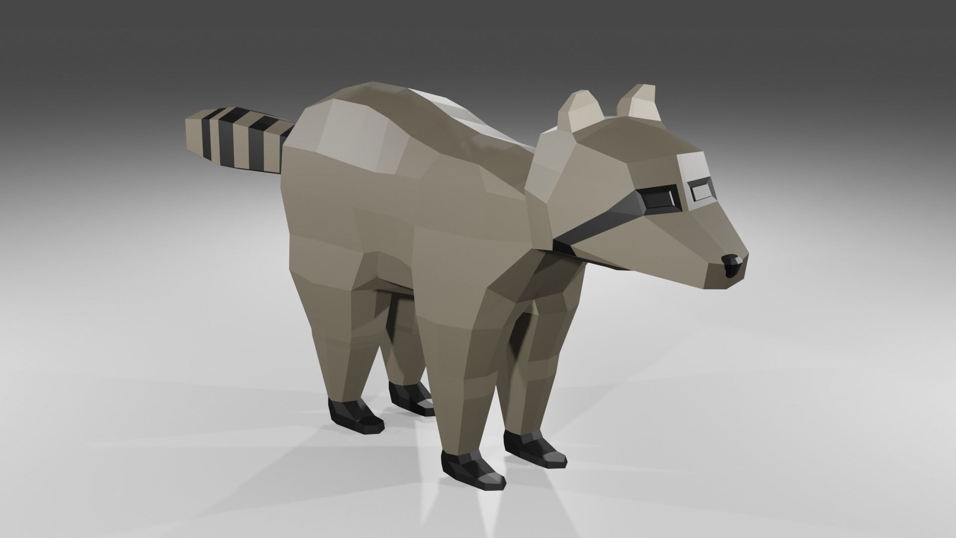 Raccon Low Poly Rigged free VR / AR / low-poly 3D model rigged | CGTrader
