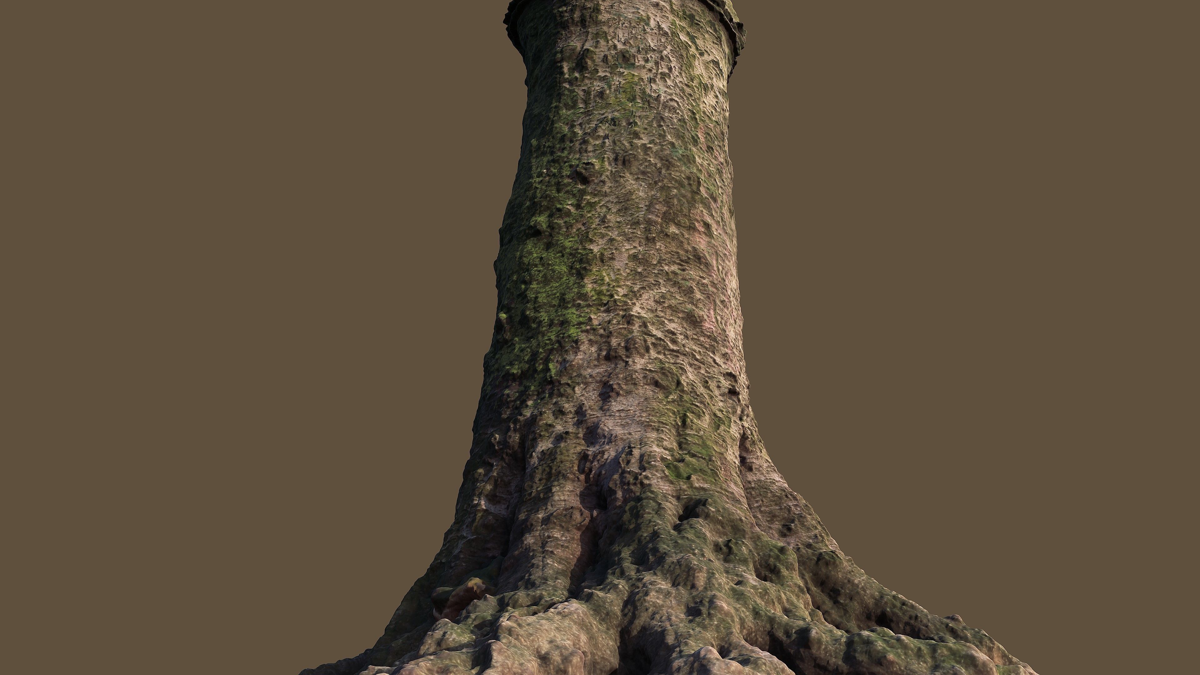 Tree trunk 3d scan retopologed free 3D model | CGTrader