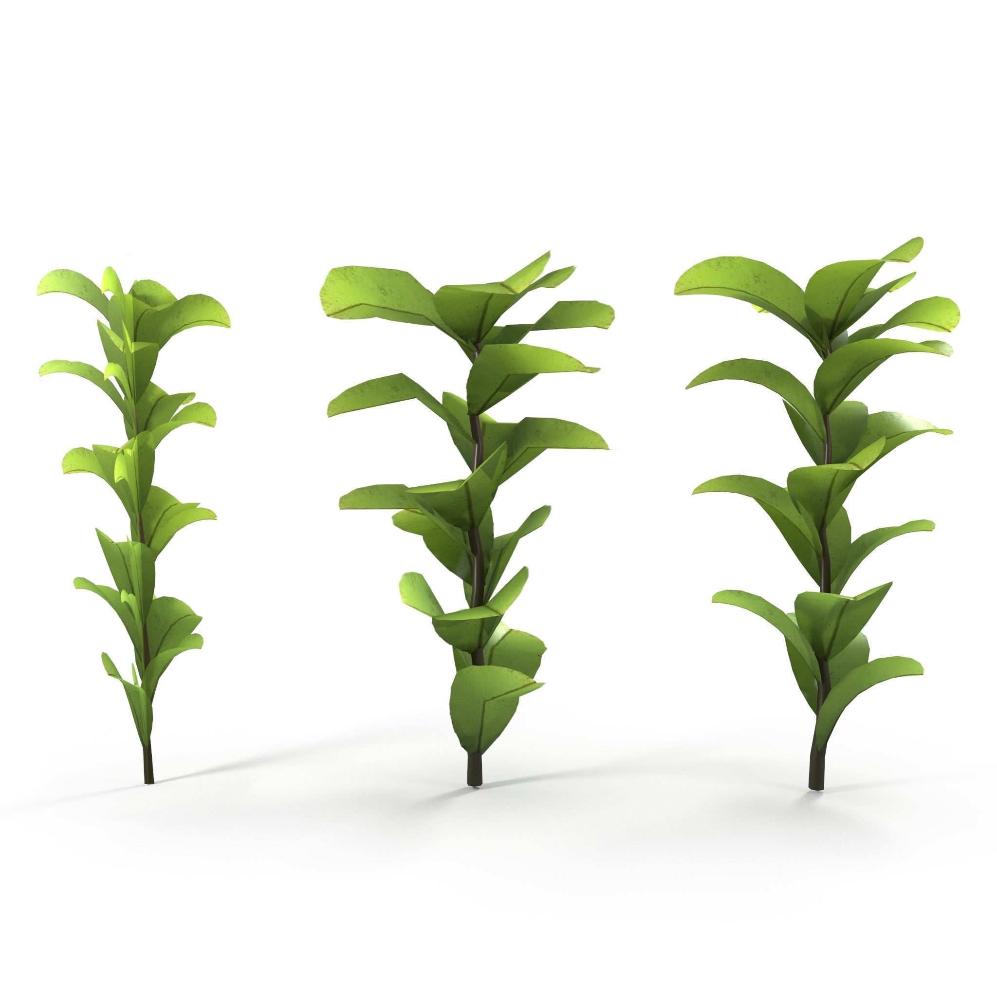 3D model Dotted moss VR / AR / low-poly | CGTrader