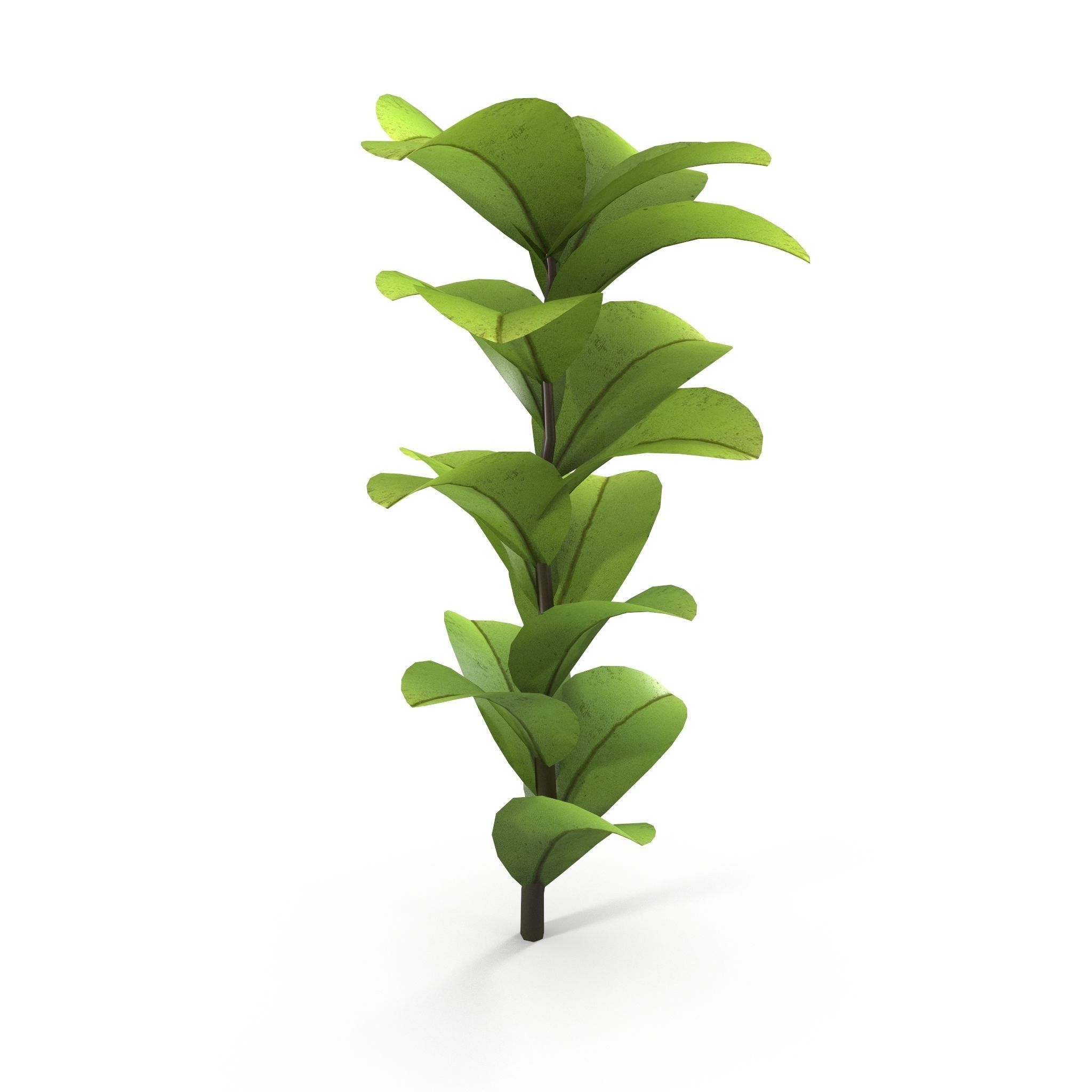 3D model Dotted moss VR / AR / low-poly | CGTrader