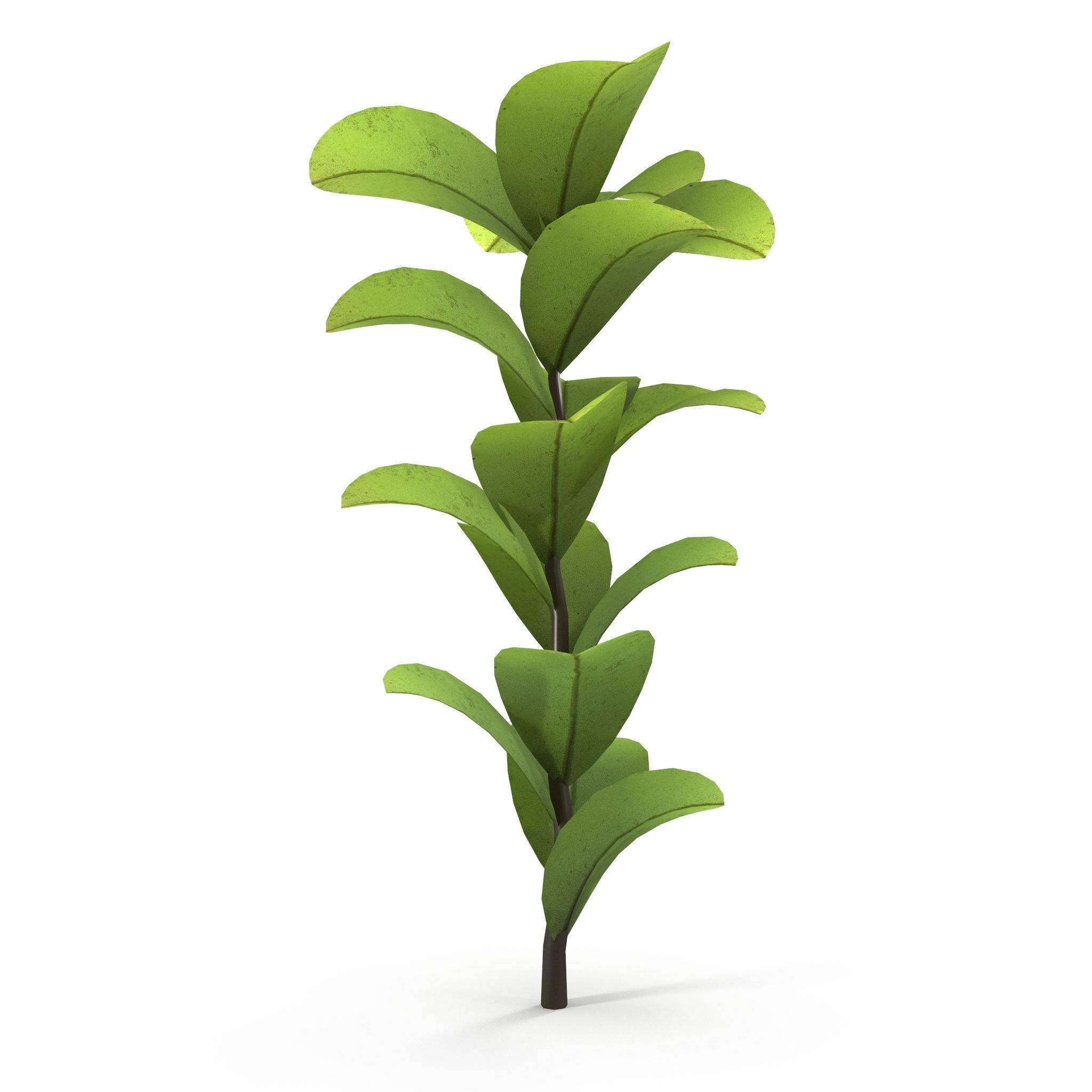 3D model Dotted moss VR / AR / low-poly | CGTrader