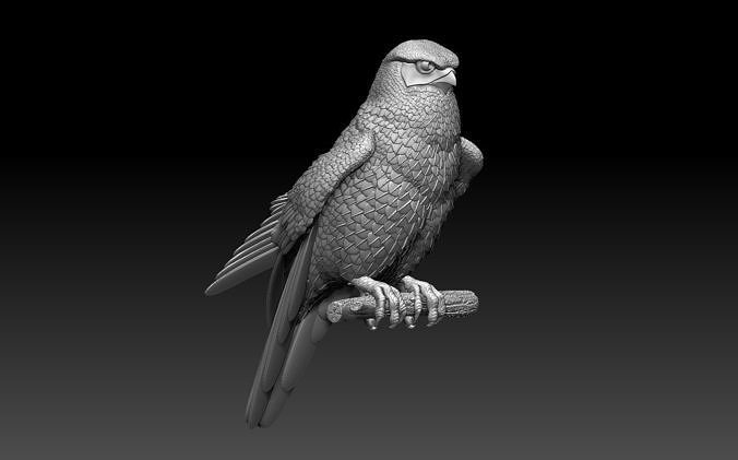 falcon 3D model 3D printable | CGTrader