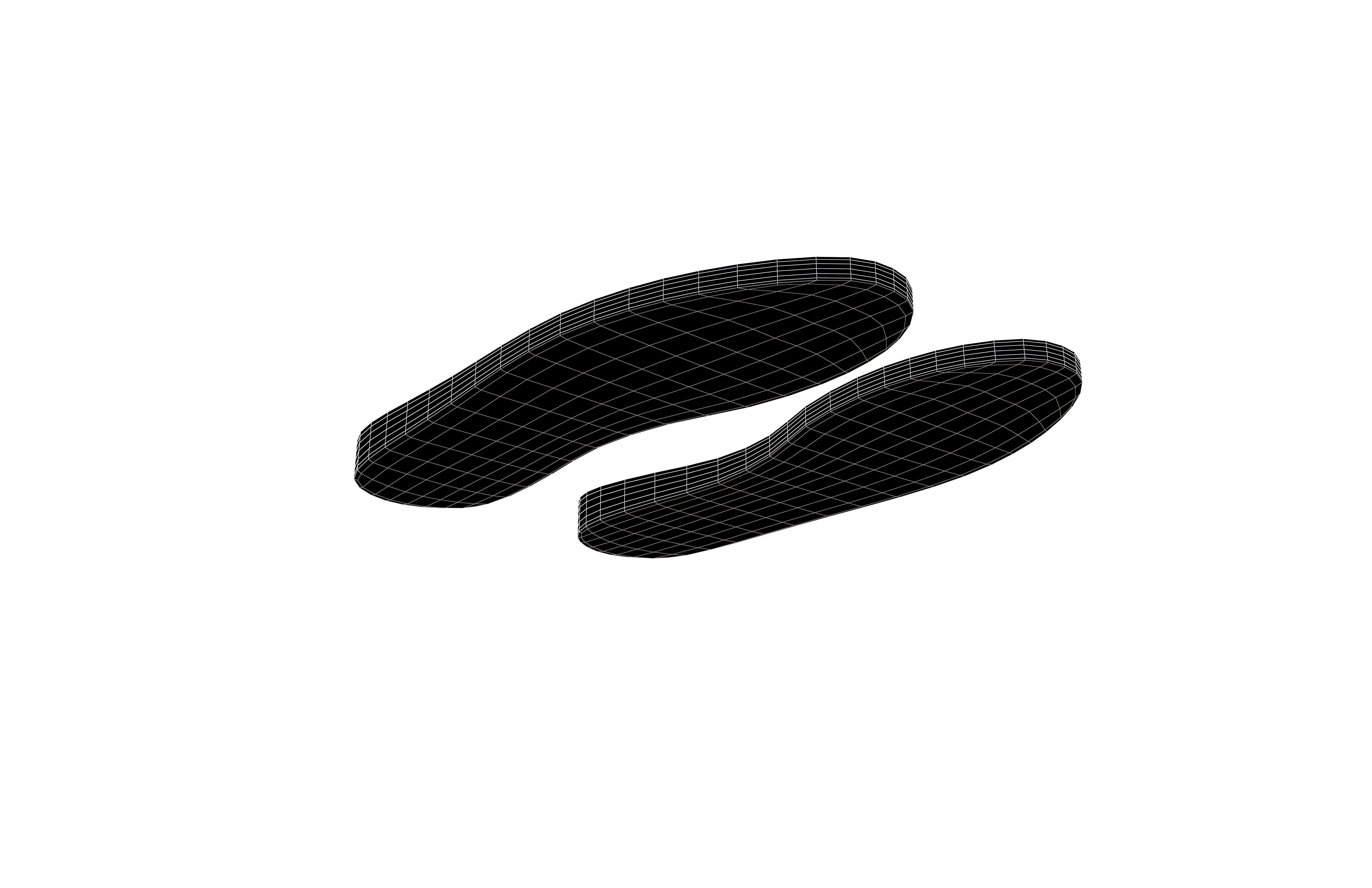 3D model Insole v1 001 VR / AR / low-poly | CGTrader