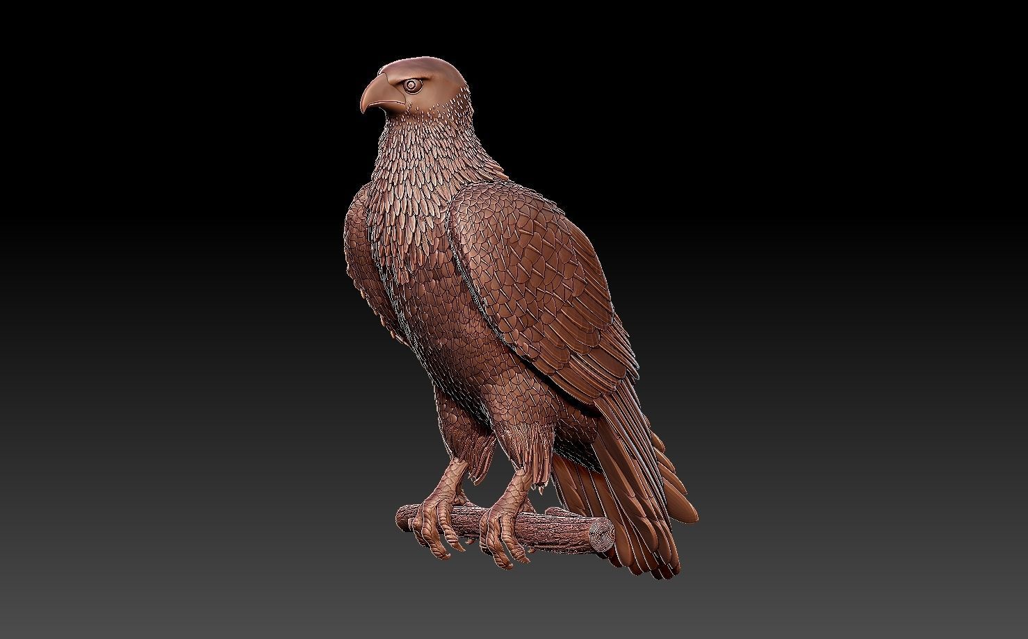 hawk bird 3D model 3D printable | CGTrader