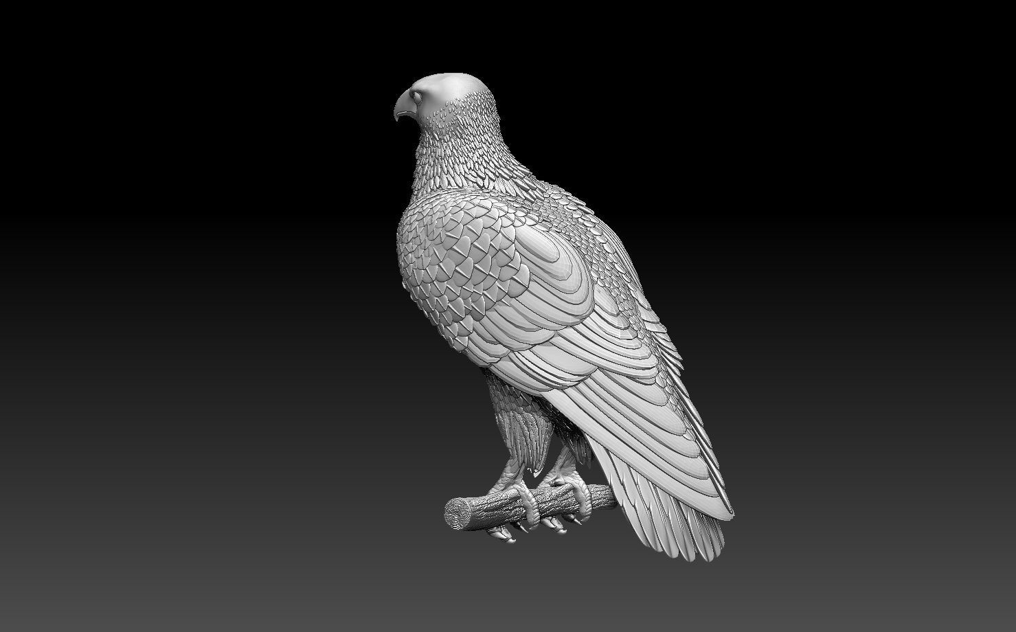 hawk bird 3D model 3D printable | CGTrader
