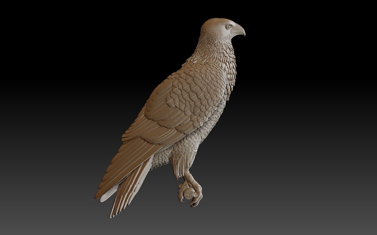 hawk bird 3D model 3D printable | CGTrader