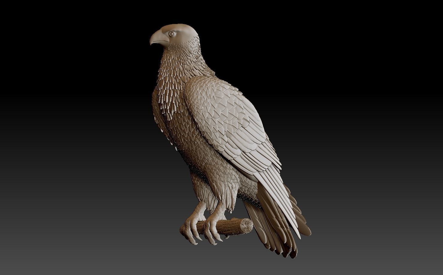 hawk bird 3D model 3D printable | CGTrader