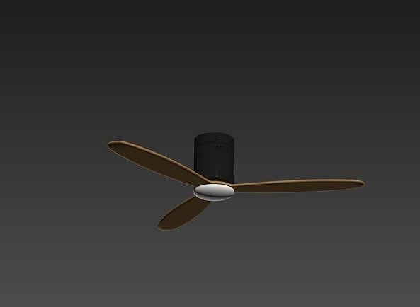 Animated Ceiling Fans