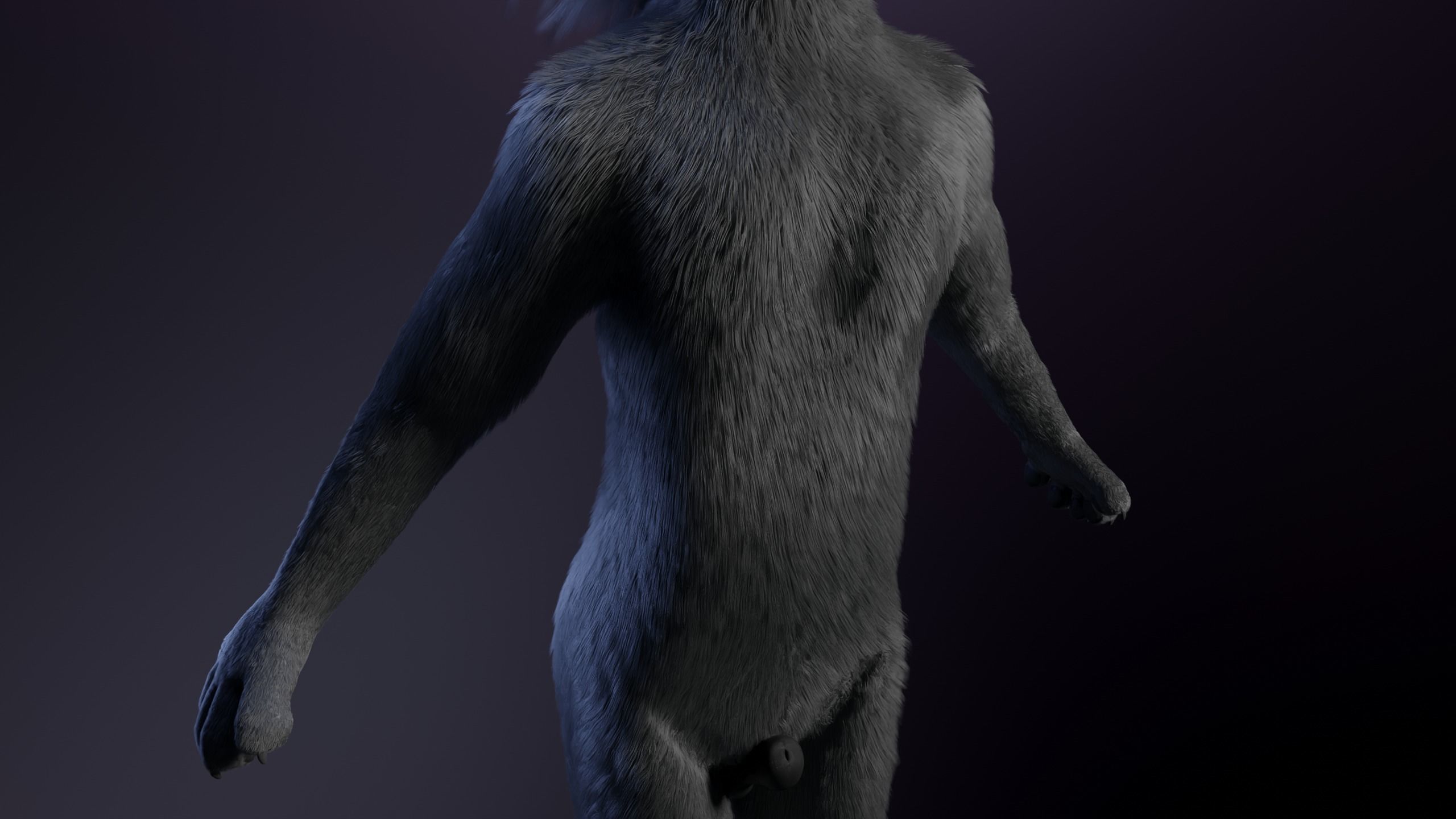 Jonny Anthro Wolf 3D model rigged | CGTrader