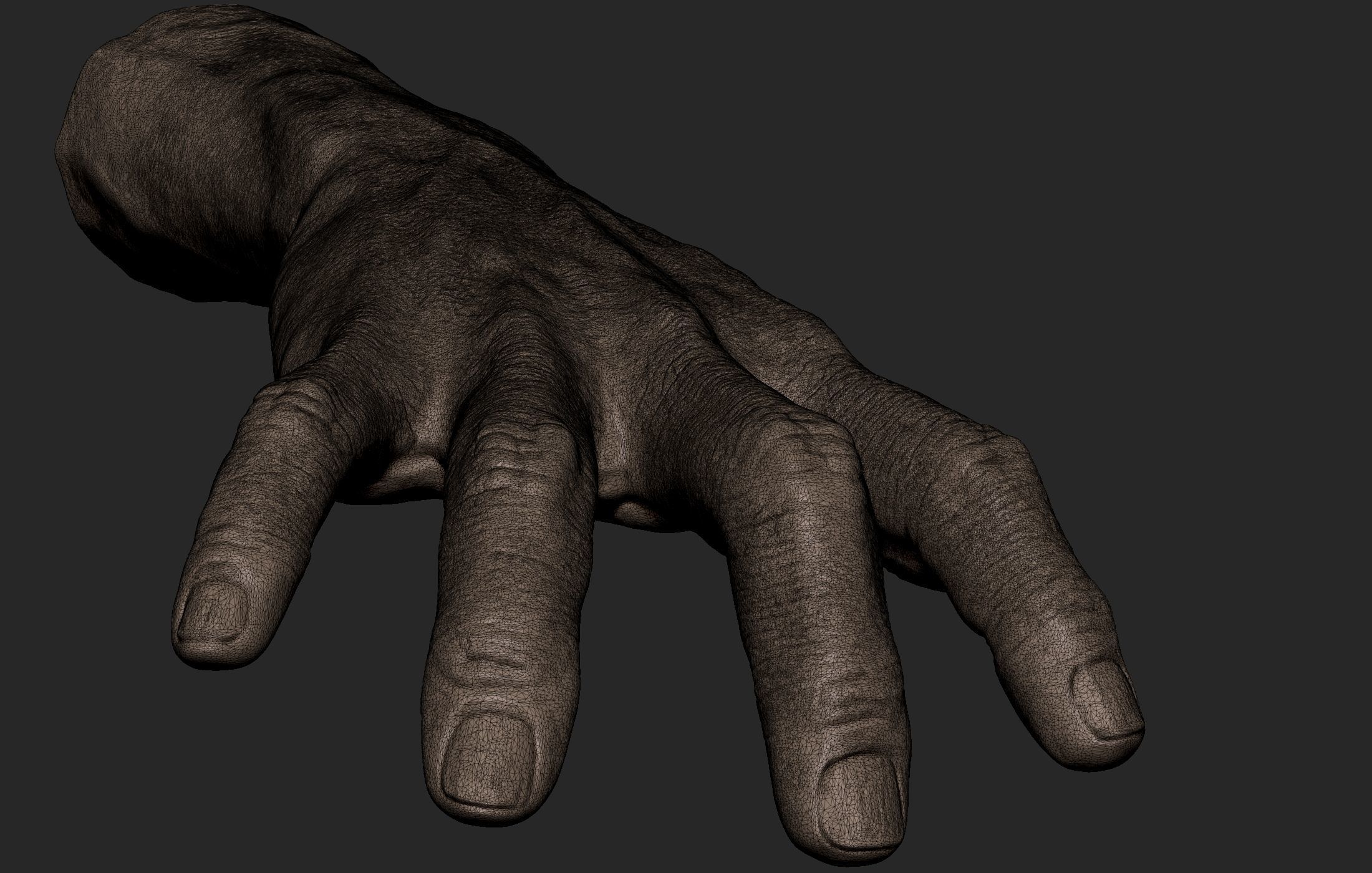 Realistic Male Hand Sculpt 2 3D model | CGTrader