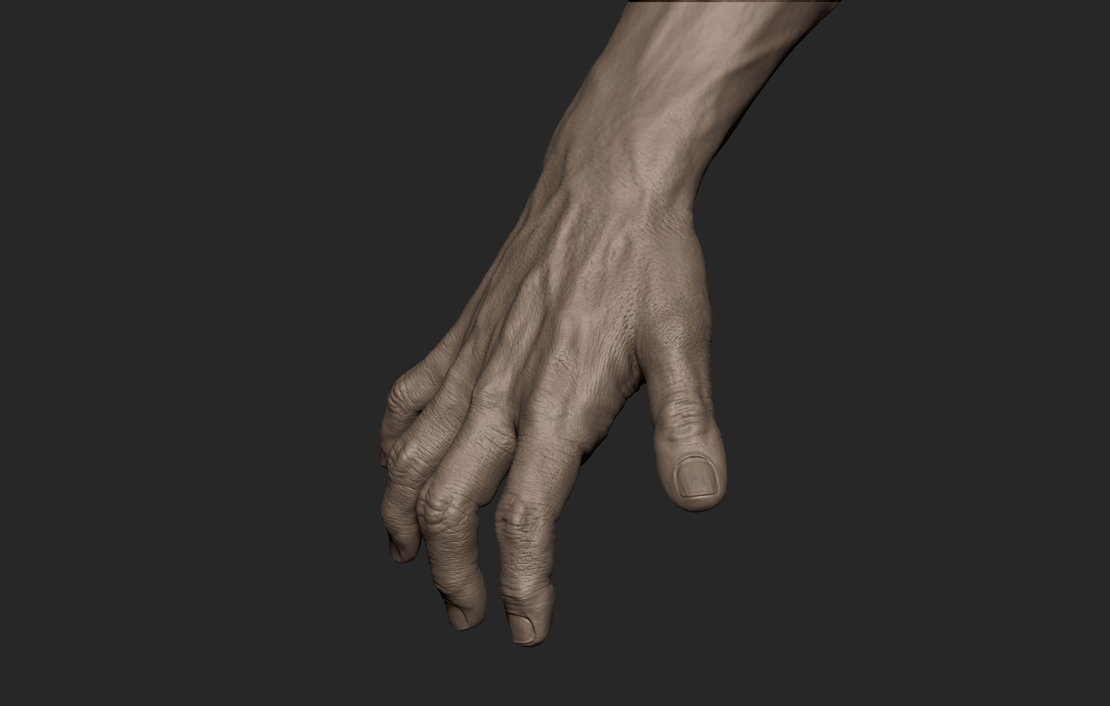 Realistic Male Hand Sculpt 2 3D model | CGTrader