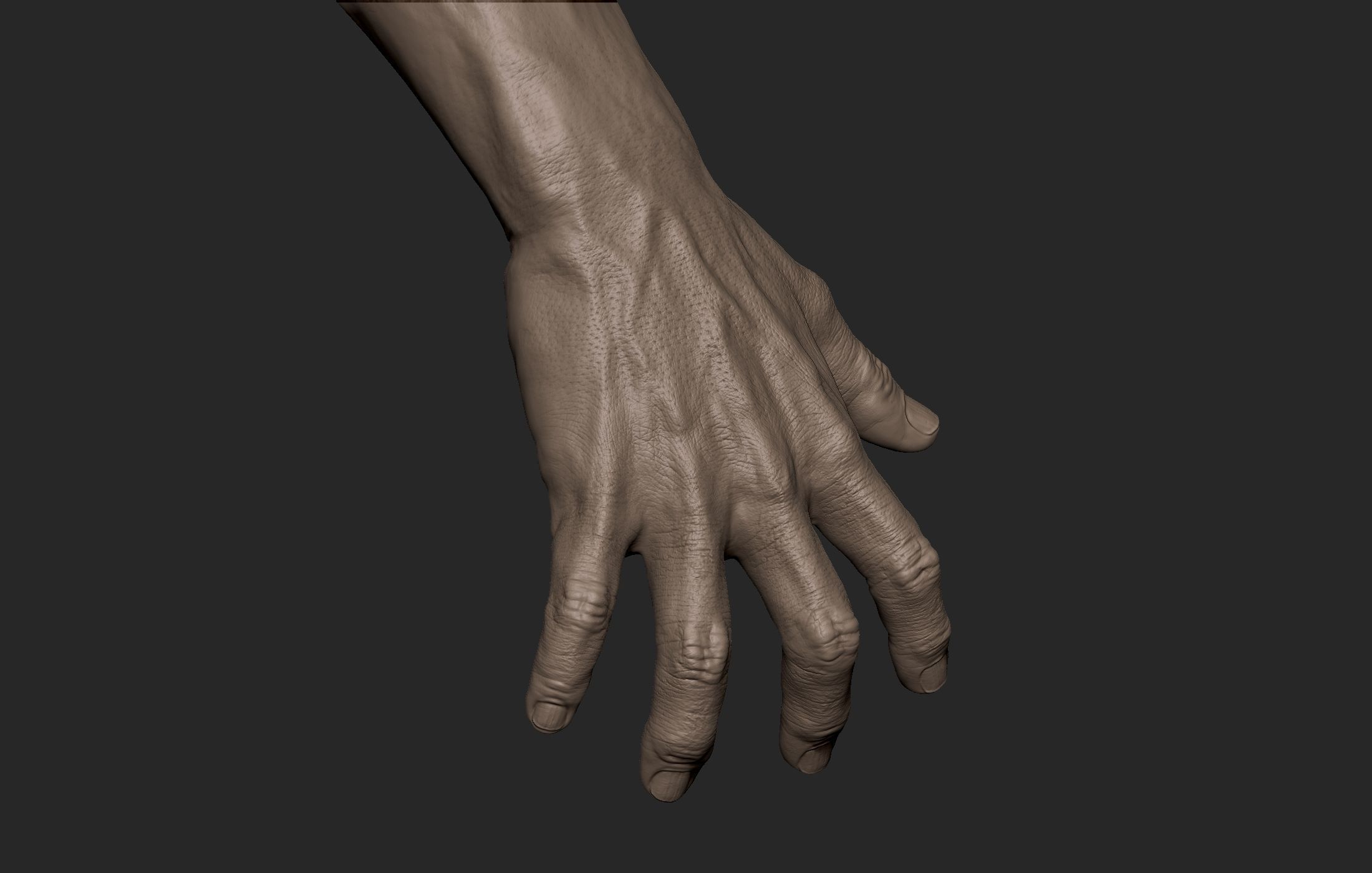 Realistic Male Hand Sculpt 2 3D model | CGTrader