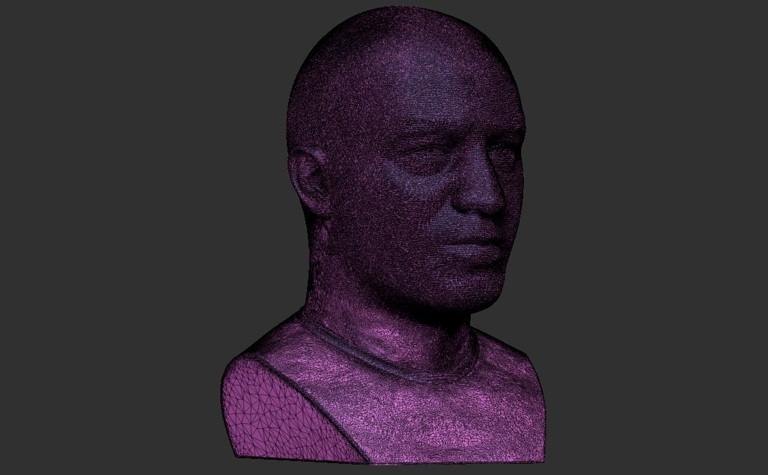 Joe Rogan bust for 3D printing 3D model 3D printable | CGTrader