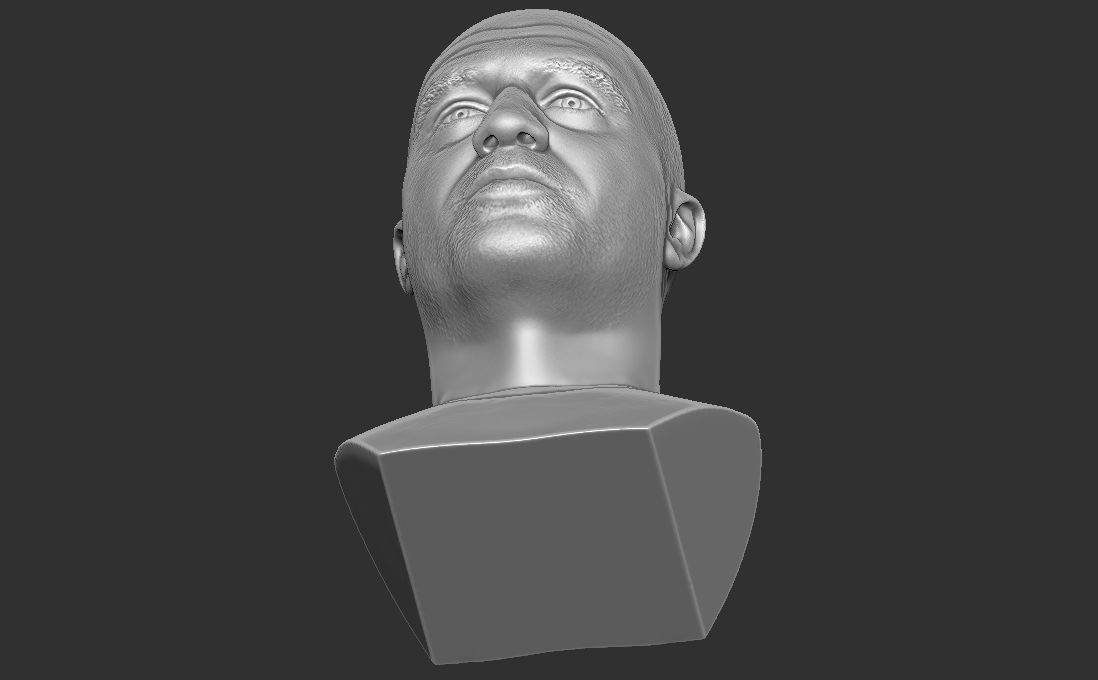Joe Rogan bust for 3D printing 3D model 3D printable | CGTrader