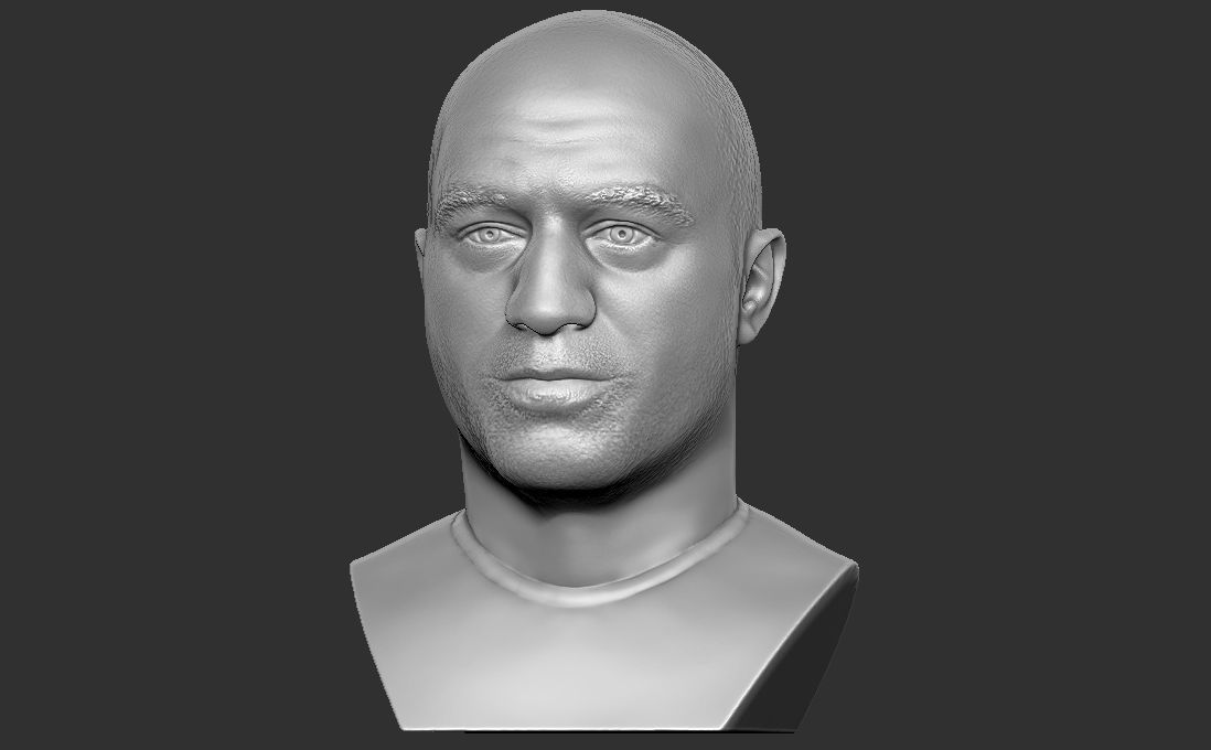 Joe Rogan bust for 3D printing 3D model 3D printable | CGTrader