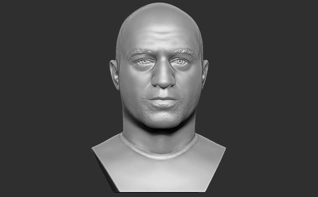 Joe Rogan bust for 3D printing 3D model 3D printable | CGTrader