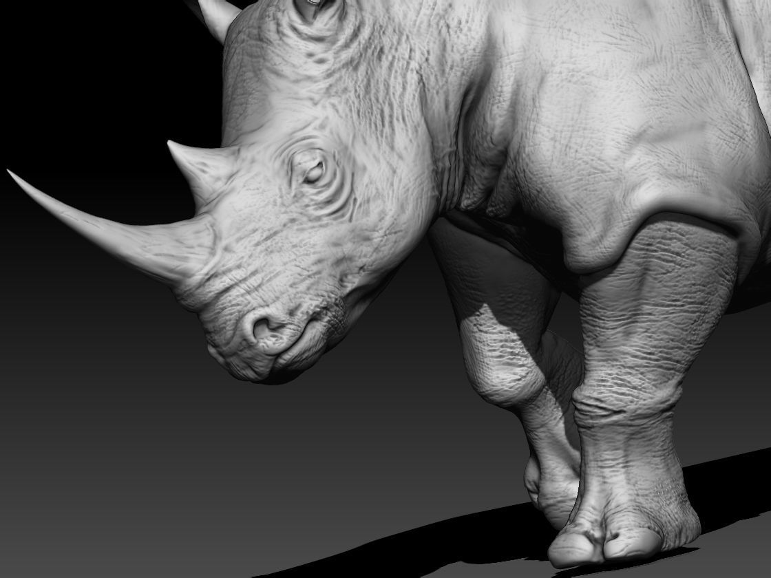 Sculpt of a White Rhino for SLA or FDM Printing 3D model 3D printable ...