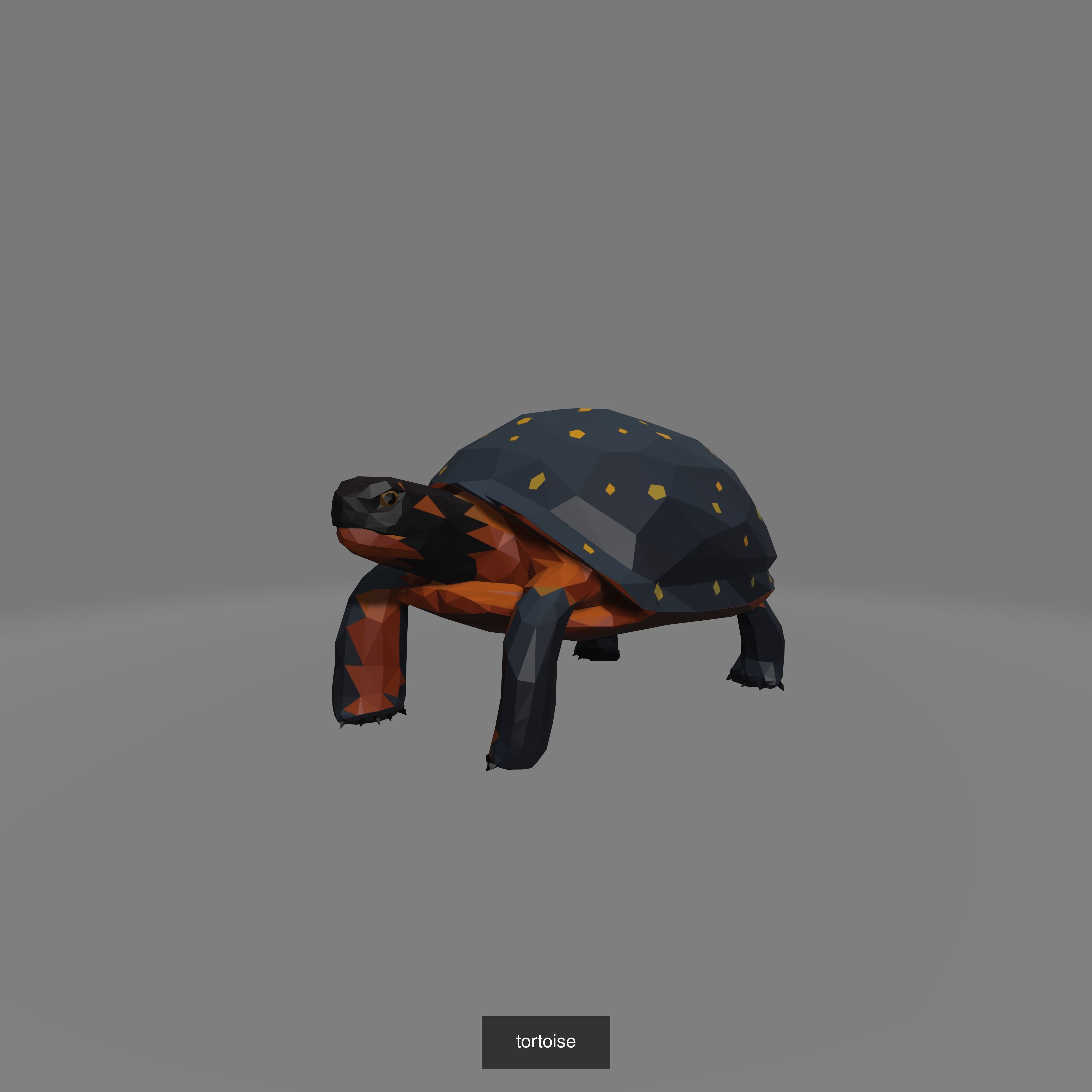 low poly animals 3D Model Collection | CGTrader