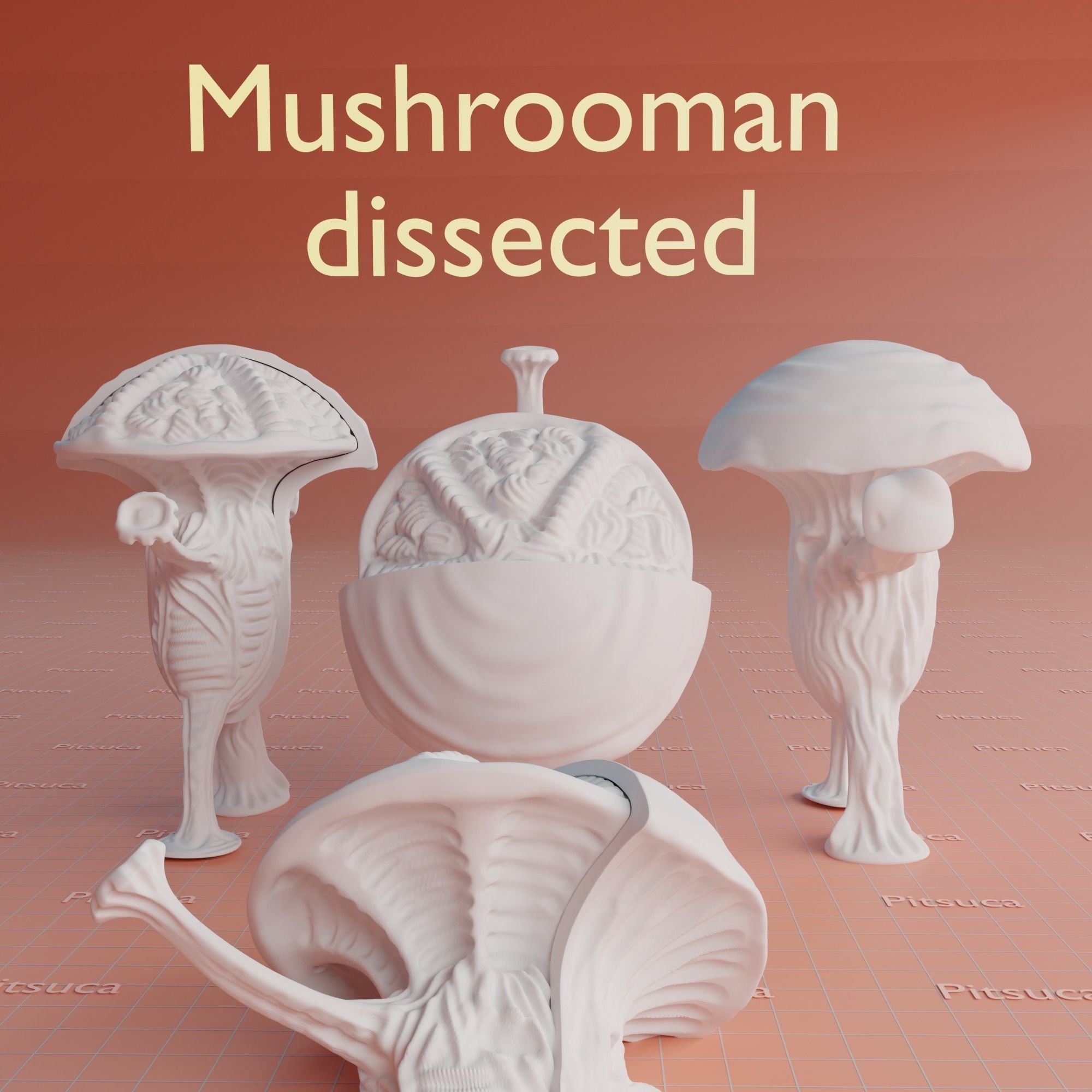 Mushrooman dissected fungi creature free 3D model 3D printable | CGTrader