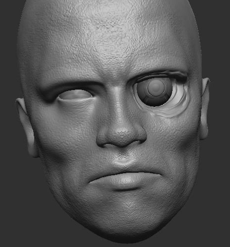 Terminator 1984 Arnold Schwarzenegger free 3D model 3D printable | CGTrader