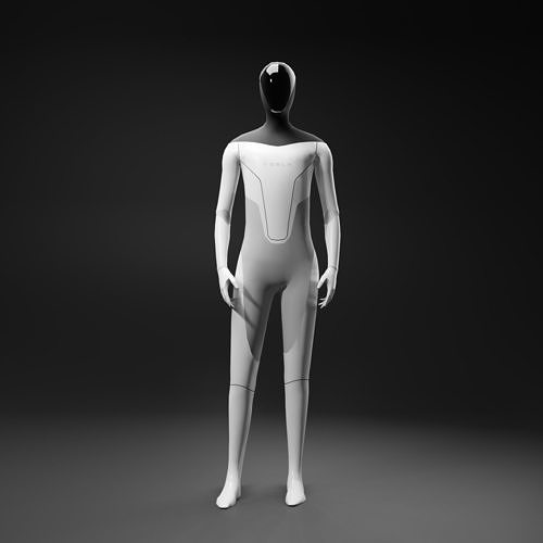 3D model Tesla Bot Low Poly VR / AR / low-poly | CGTrader