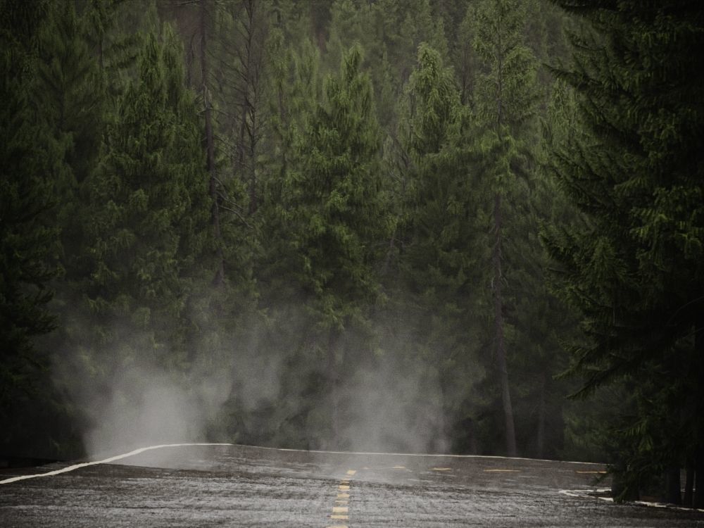 Texture HeliosEnvironment vol13 Fog Decals VR / AR / low-poly | CGTrader