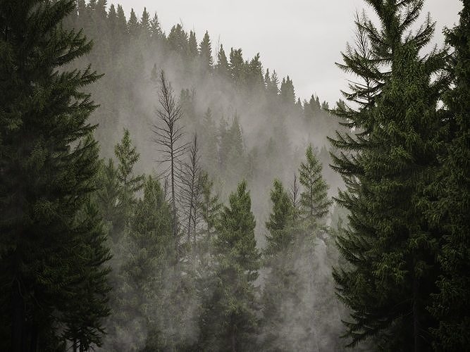 Texture HeliosEnvironment vol13 Fog Decals VR / AR / low-poly | CGTrader