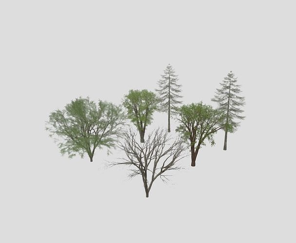 6-tree models set 3D model | CGTrader