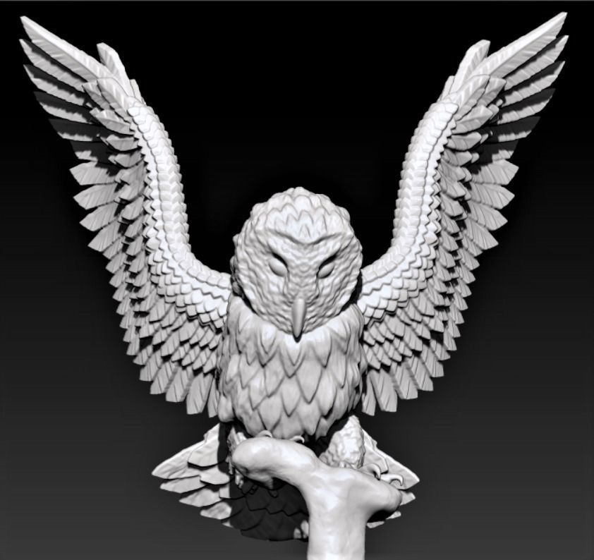 Barn Owl 3D print model 3D model 3D printable | CGTrader