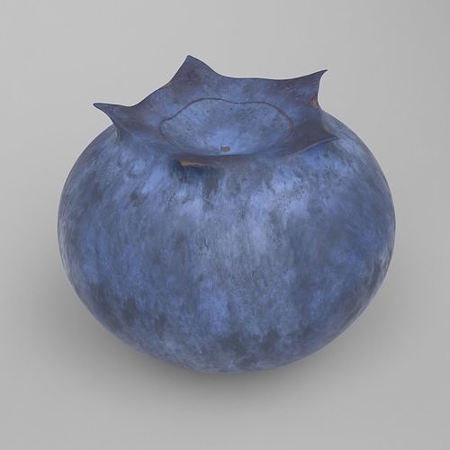 Blueberry 3D model | CGTrader