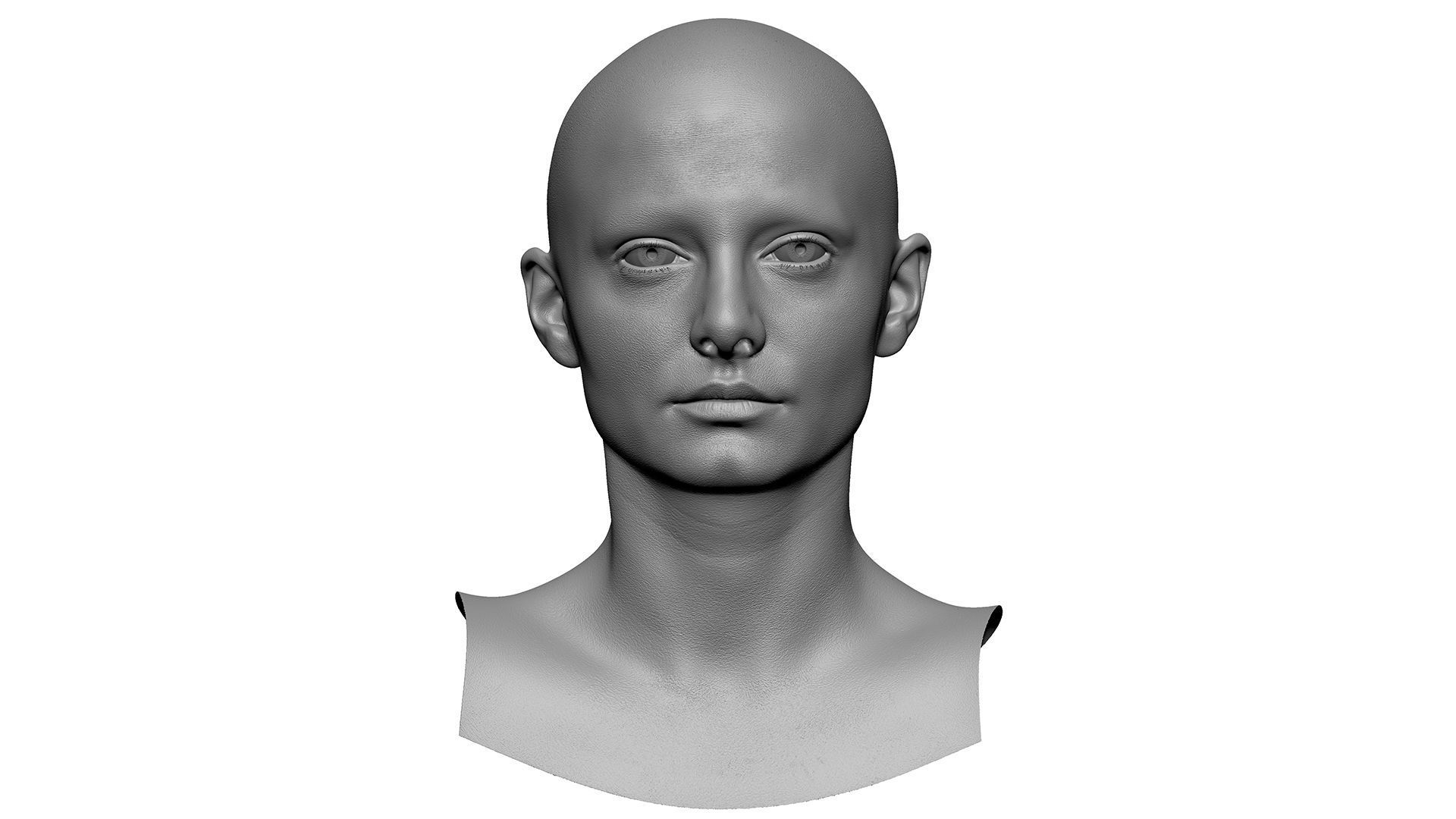 Retopologized Male 3D Head scan - Lucy Evans 3D model | CGTrader