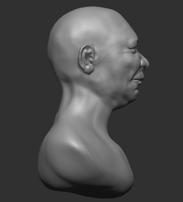 Morgan Freeman head 3D model 3D printable | CGTrader
