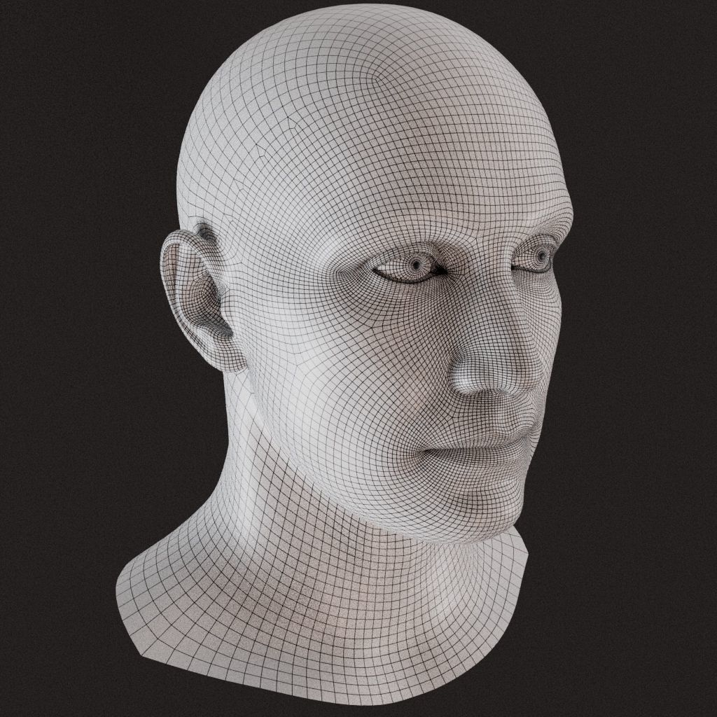 Male Head free 3D model | CGTrader