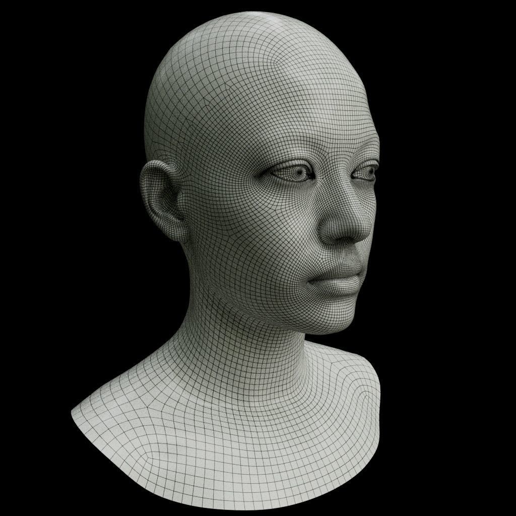 Female head free 3D model | CGTrader
